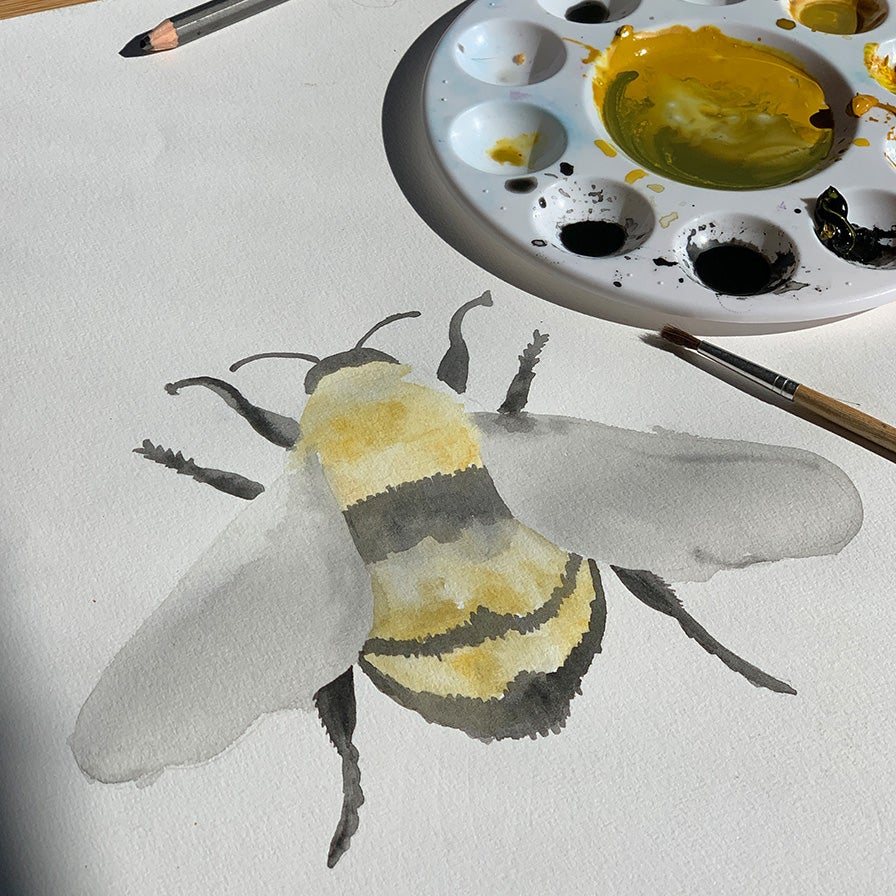 The Wallace Cotton Bee