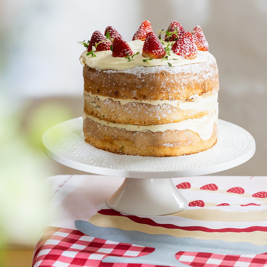 Starship x Ruby Seeto ‘24 – Wallace Cotton